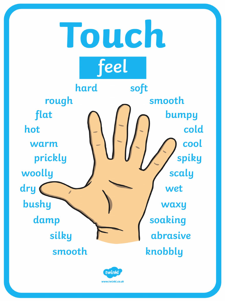 T T 252943 Touch Vocabulary Display Poster | PDF