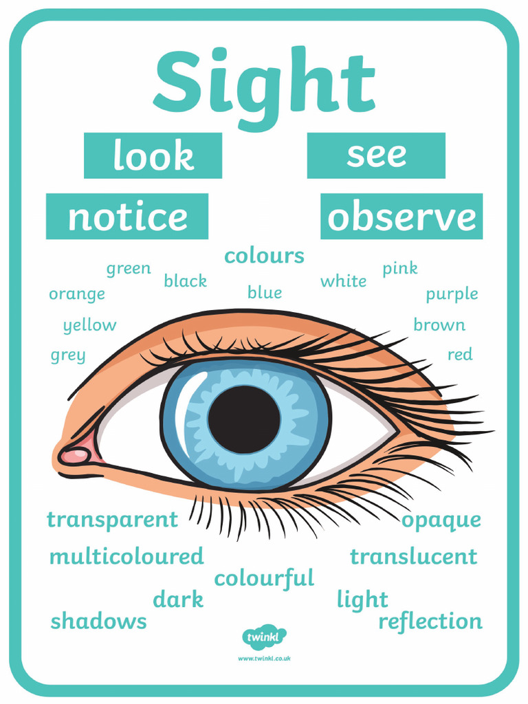 T T 252941 Sight Vocabulary Display Poster | PDF