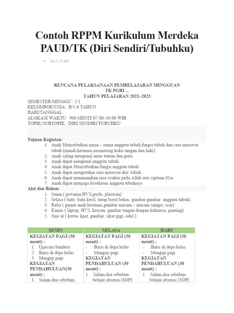 Contoh RPPM Kurikulum Merdeka PAUD | PDF