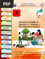 The Digestive System Grade 5 | PDF | Digestion | Human Digestive System