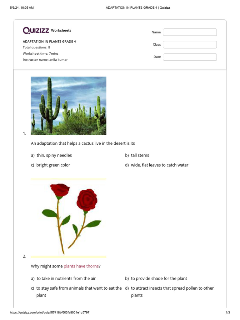 Adaptation in Plants Grade 4 - Quizizz | PDF | Plants | Trees