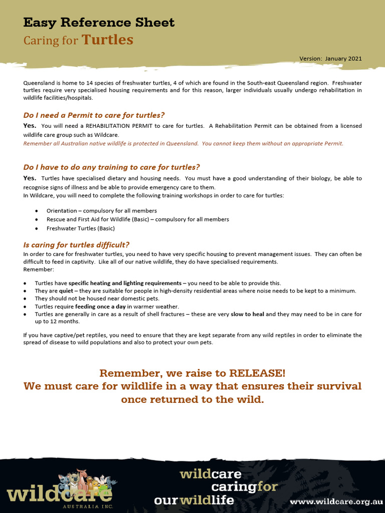 Turtles Care Guide | PDF | Turtle | Aquarium
