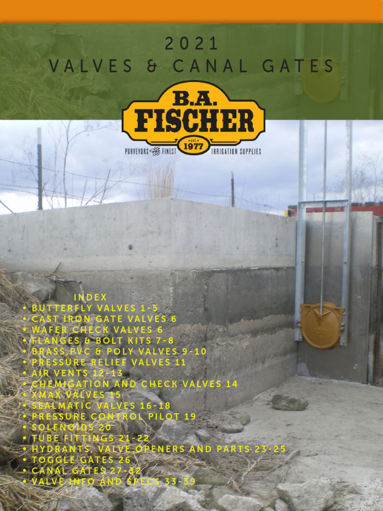 B A FISCHER 103020782 Catalog | PDF | Valve | Building Materials