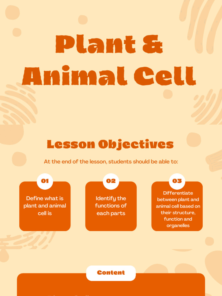 Plant and Animal Cell | Download Free PDF | Cell (Biology) | Organelle