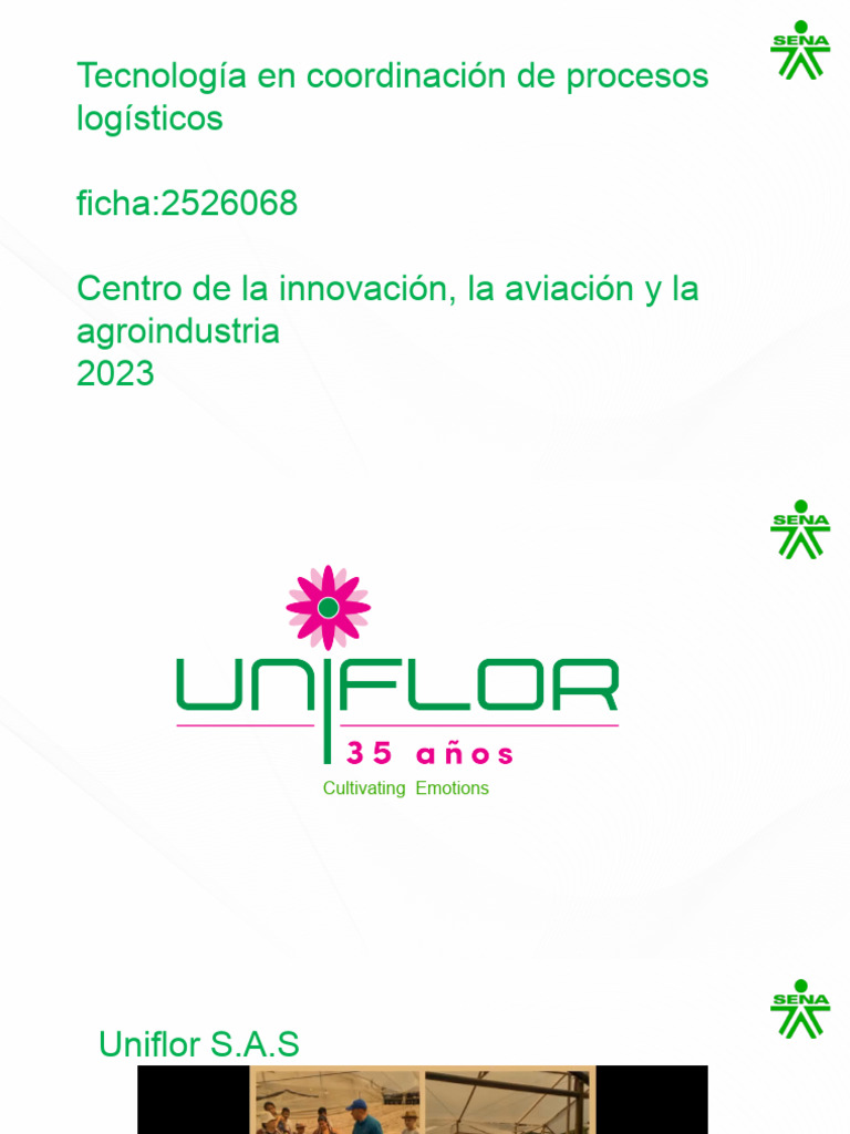 Optimización de Almacén en Uniflor S.A.S. | PDF | Almacén | Logística