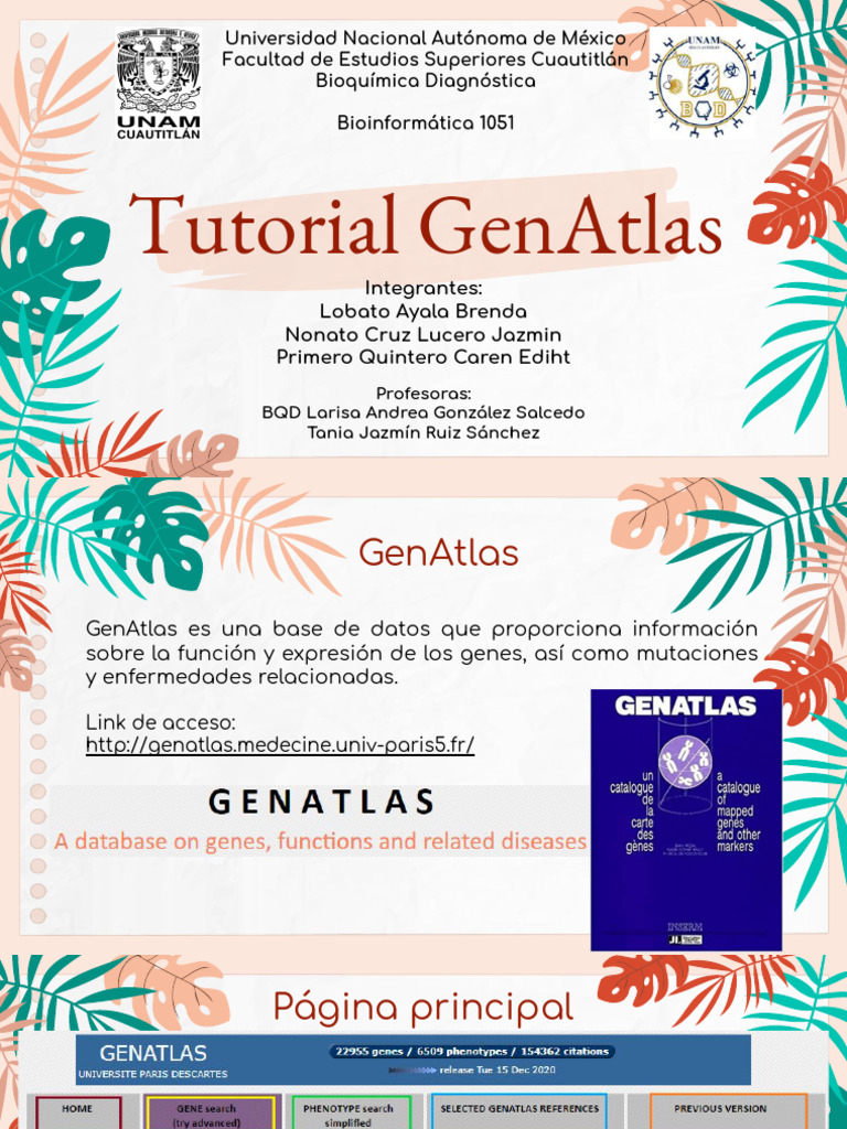 Tutorial GenAtlas | PDF | Gene | Adn