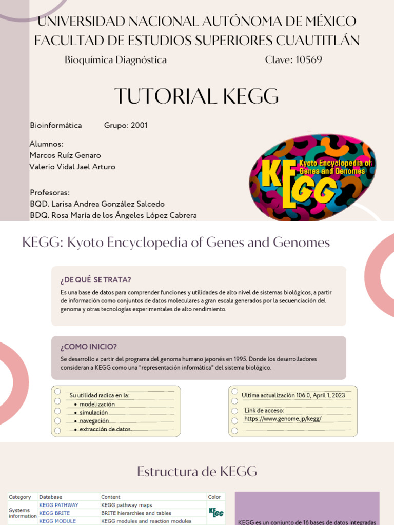 Guía Completa sobre KEGG y su Uso | PDF | Organismos | Metabolismo