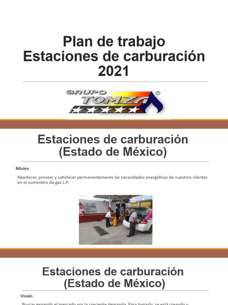 Plan de Trabajo TOMZA | PDF