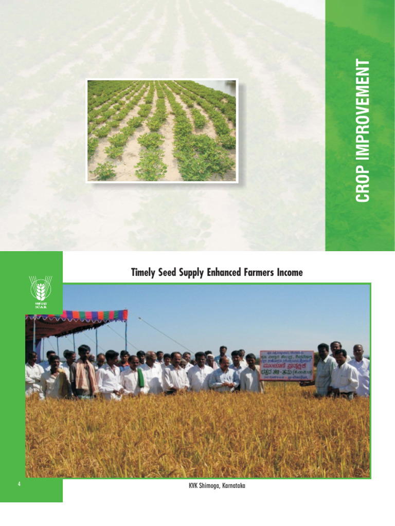 Crop Improvement | PDF | Agriculture | Rice