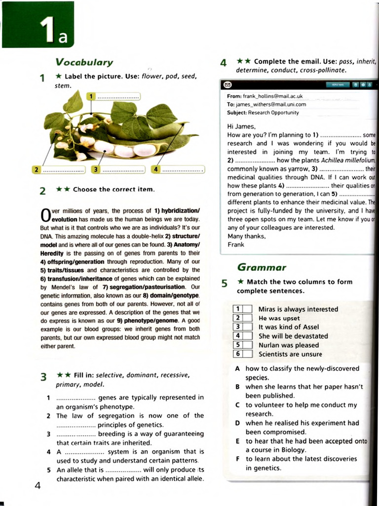 Action 11 Workbook | PDF