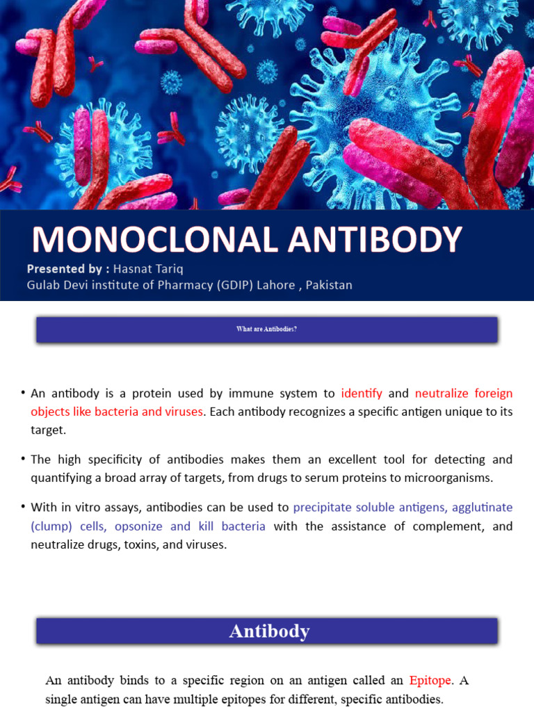 Monoclonal Antibody-Hasnat | PDF | Monoclonal Antibody | Antibody