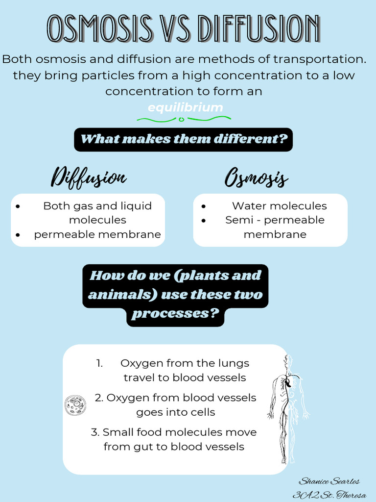 Osmosis vs Diffusion Basics | PDF | Science & Mathematics