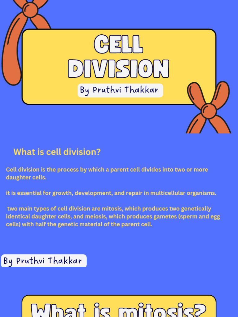 Cell Division PPT (Tuition) Class 10 Bio | PDF | Meiosis | Mitosis