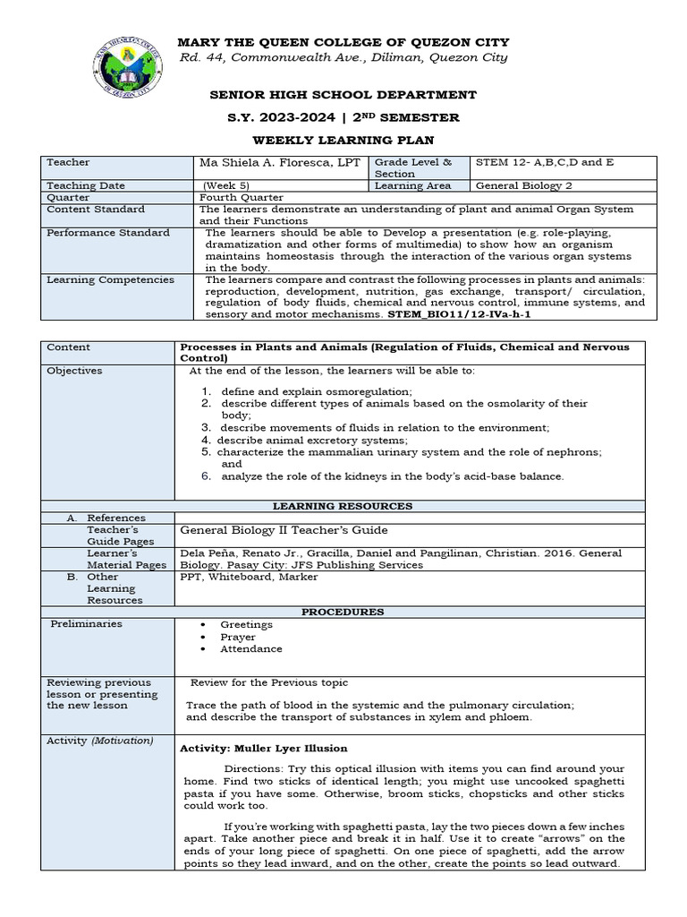 Biology Learning Plan: Homeostasis in Organ Systems | PDF | Neuron ...