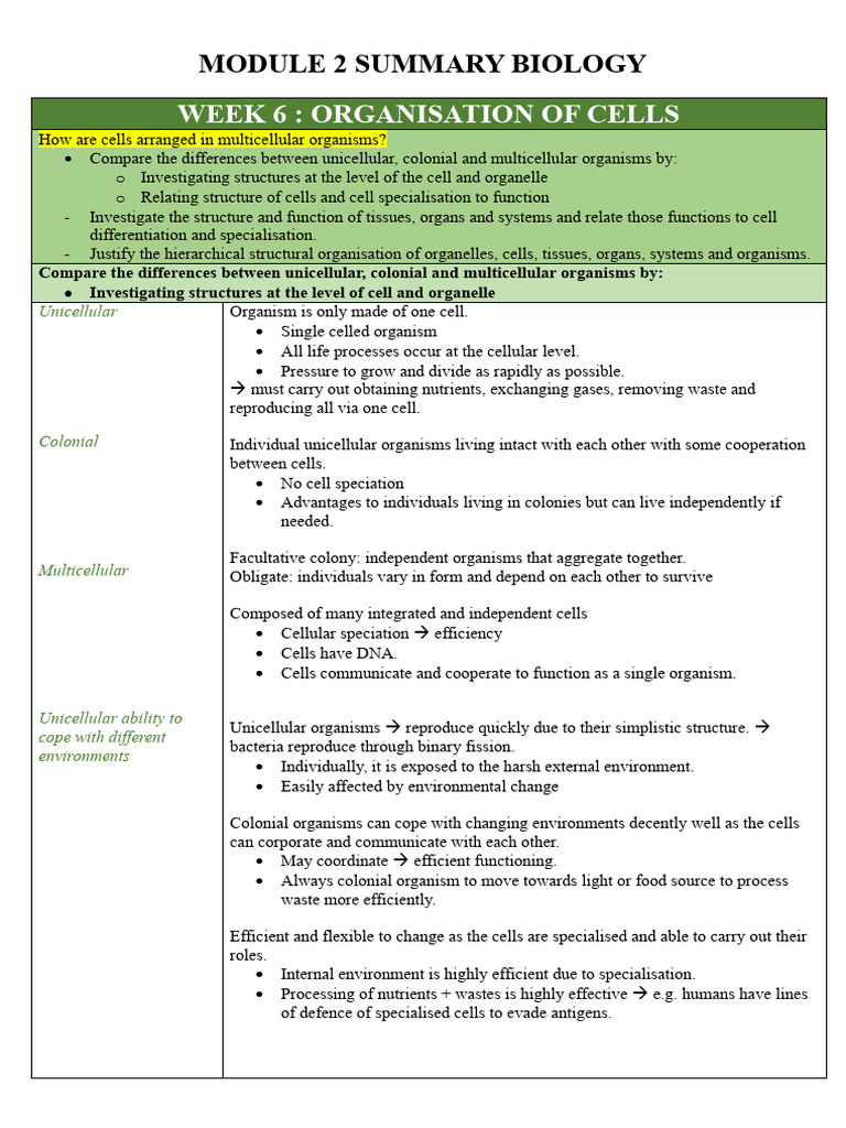 Module 2 Summary Biology | PDF | Heart | Blood