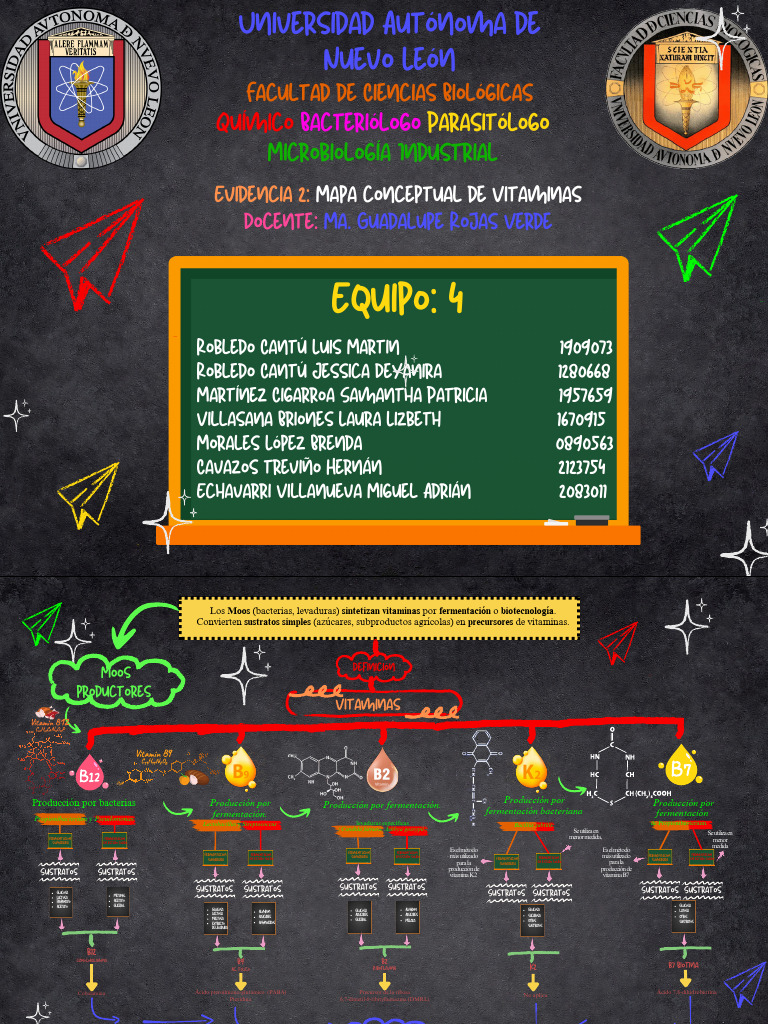 Evidencia 2 Mapa Conceptual de Vitaminas | Descargar gratis PDF | Glucosa | Fermentación