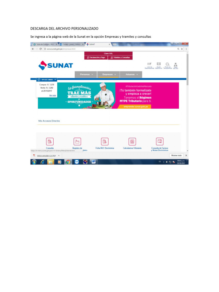 Pasos para Descargar El Archivo Personalizado Del T-Registro | PDF