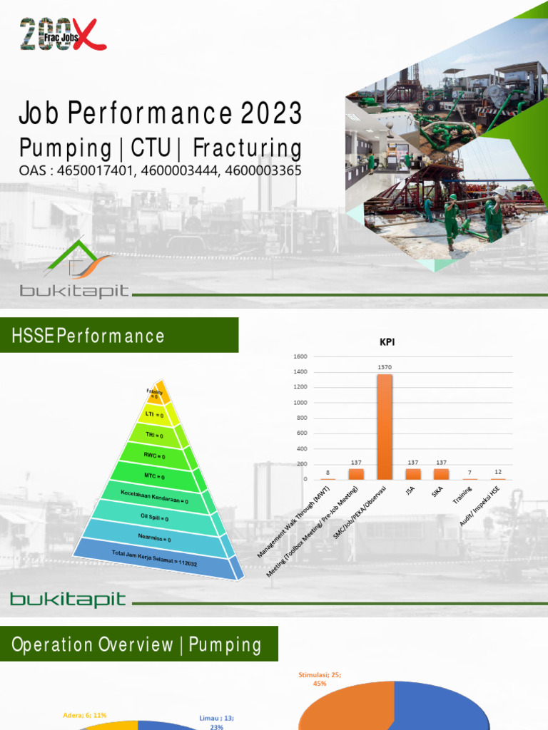Job Performance Overview 2023 | PDF