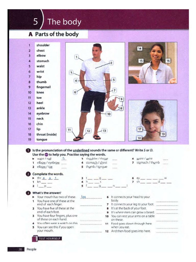 Vacab Practice 0318 | PDF