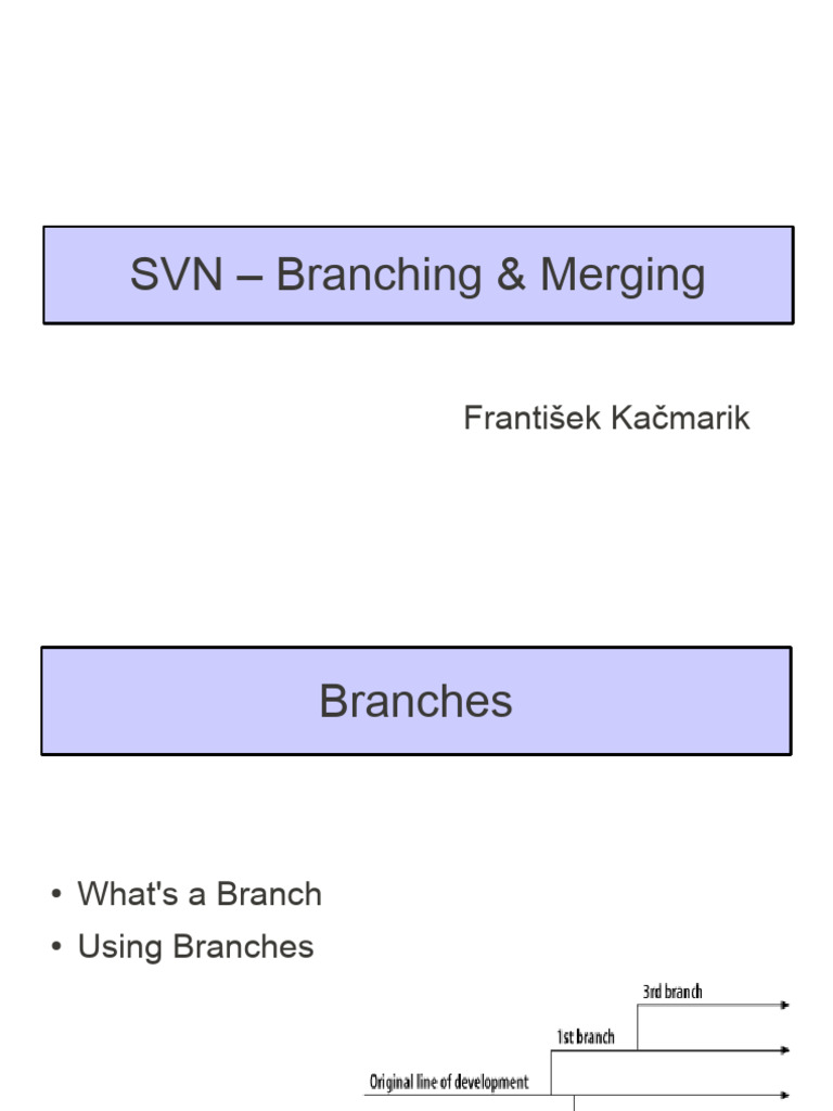 01-SVN-FeroKacmarik | PDF | Computing | Software