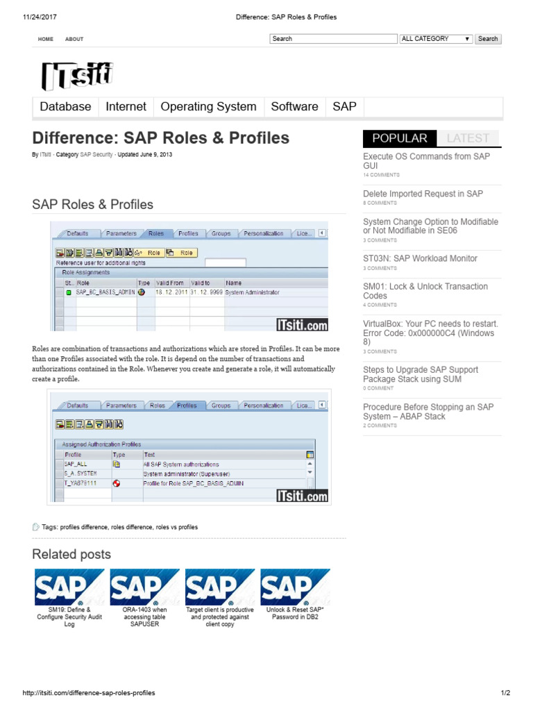 Difference - SAP Roles & Profiles | PDF | Computer Architecture | Computing
