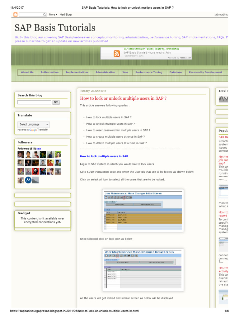 SAP User Management Guide | PDF | Password | Icon (Computing)