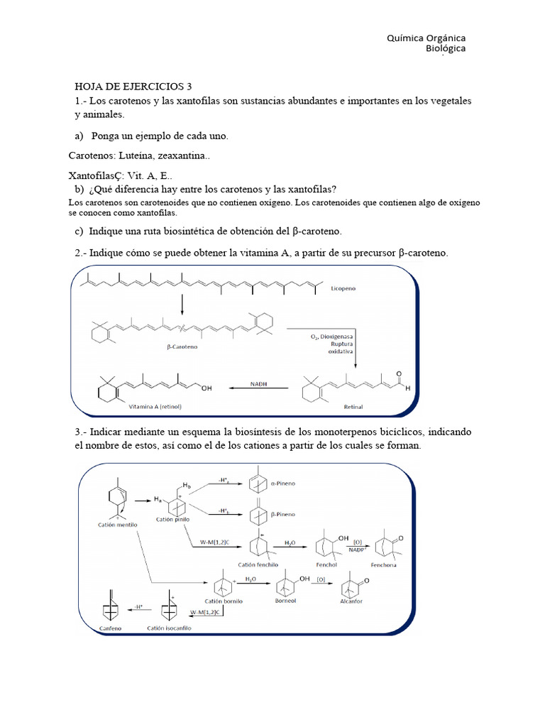 Hoja de Ejercicios 3 | PDF | Química