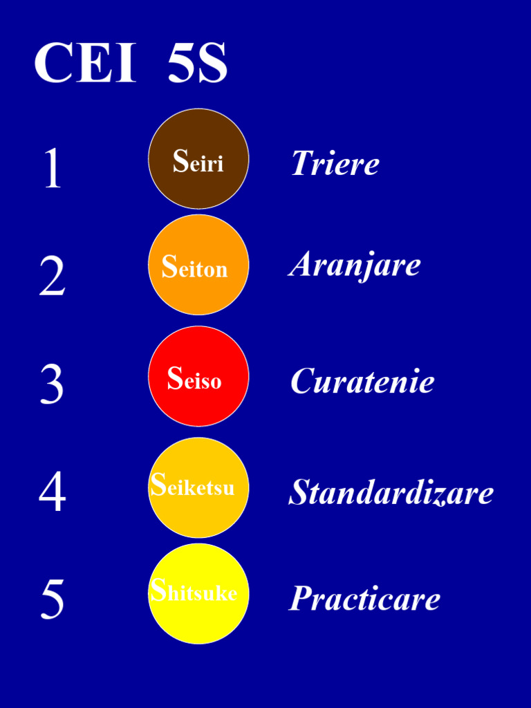 Cei 5S: Triere Aranjare Curatenie Standardizare Practicare | PDF