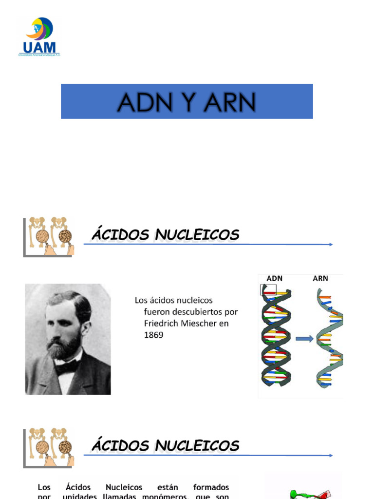 Arn y Adn | PDF