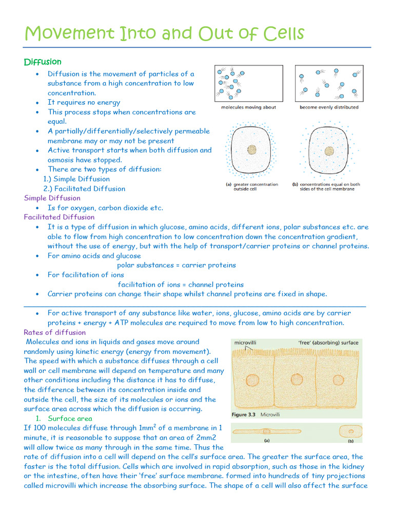 Movement Into and Out of Cells | Download Free PDF | Osmosis | Diffusion