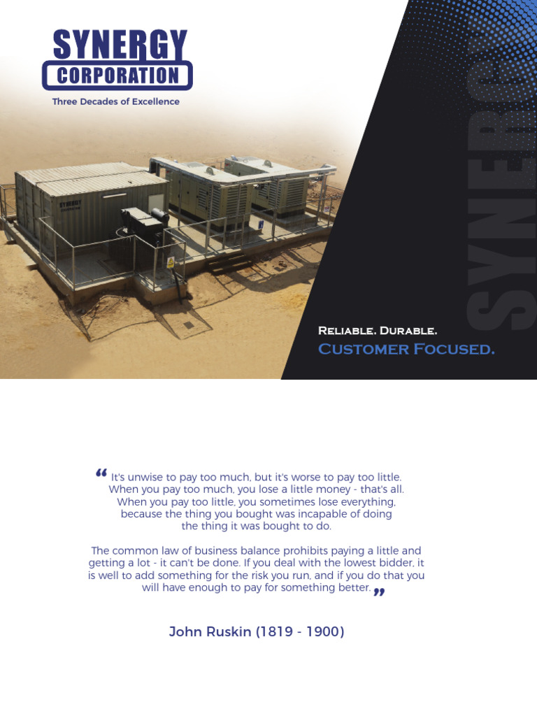 Synergy Corp: Power Solutions Leader | PDF | Reliability Engineering ...