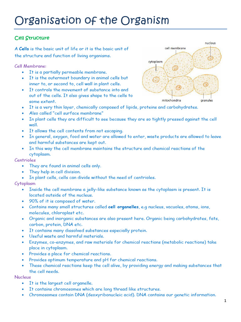 Organisation of the Organism | Download Free PDF | Cell (Biology) | Vacuole