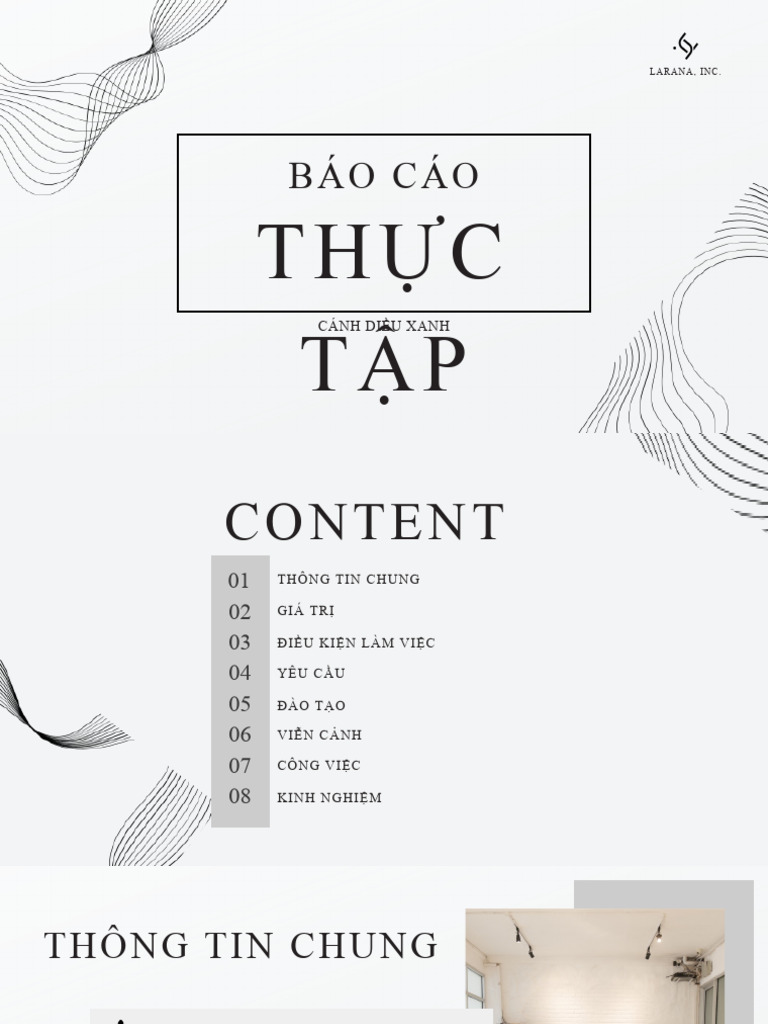 Báo Cáo | PDF