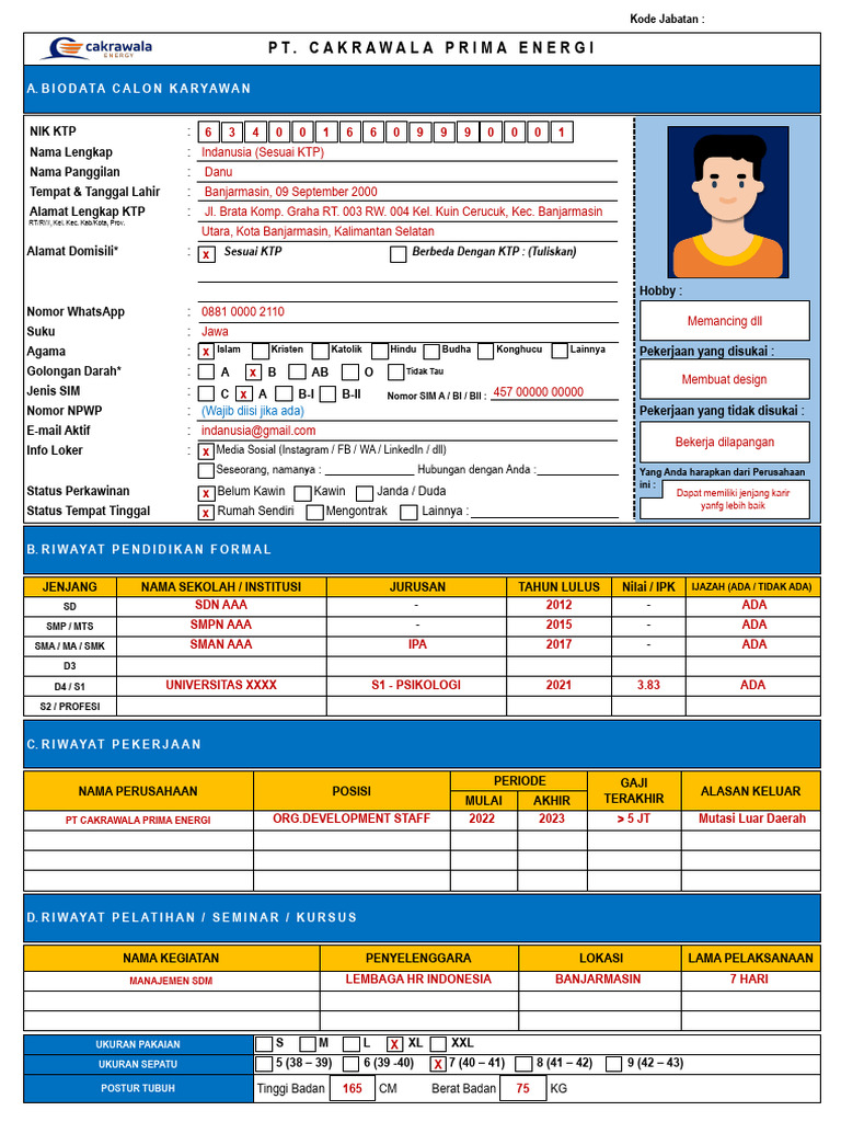 Contoh Form Biodata | PDF