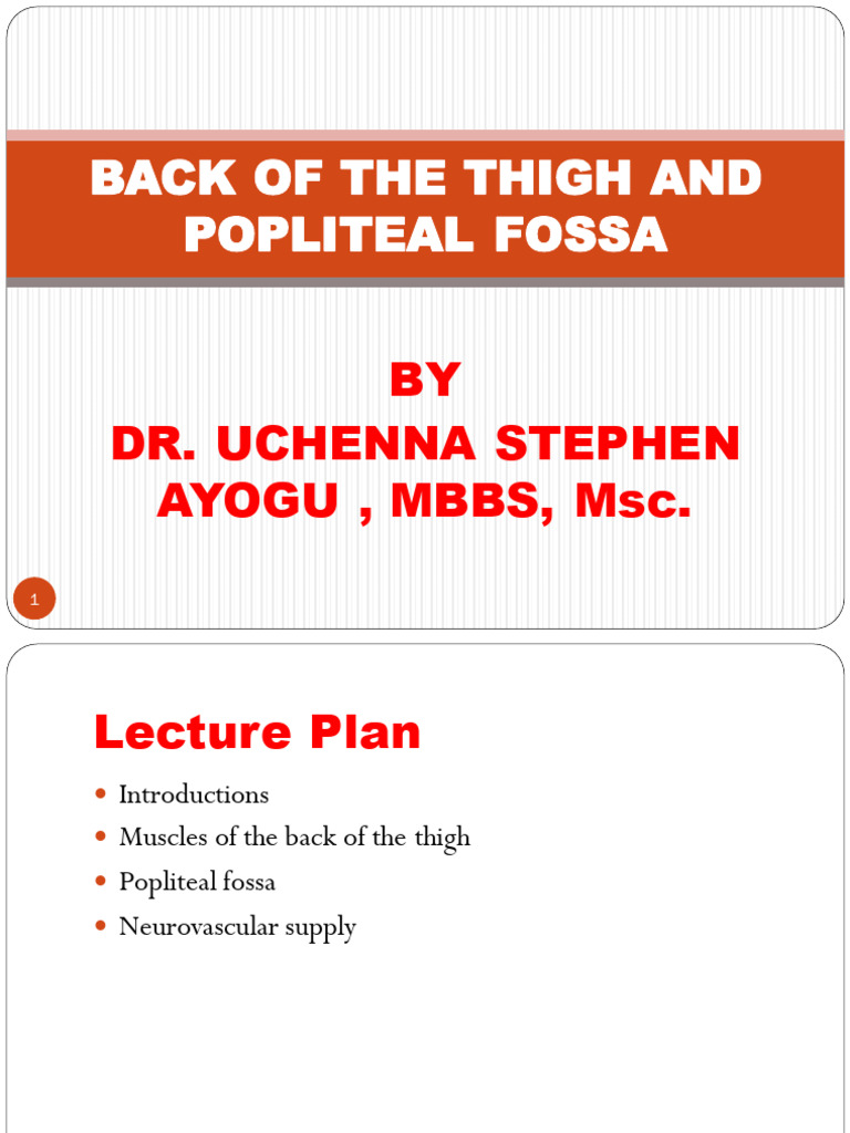 Anatomy of The Back of Thigh and Popliteal Fossa | Download Free PDF ...