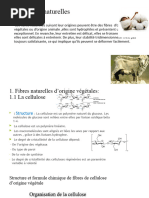 Les Lipides Simples : Glycérides, Cérides, Stérides | PDF | Cholestérol ...