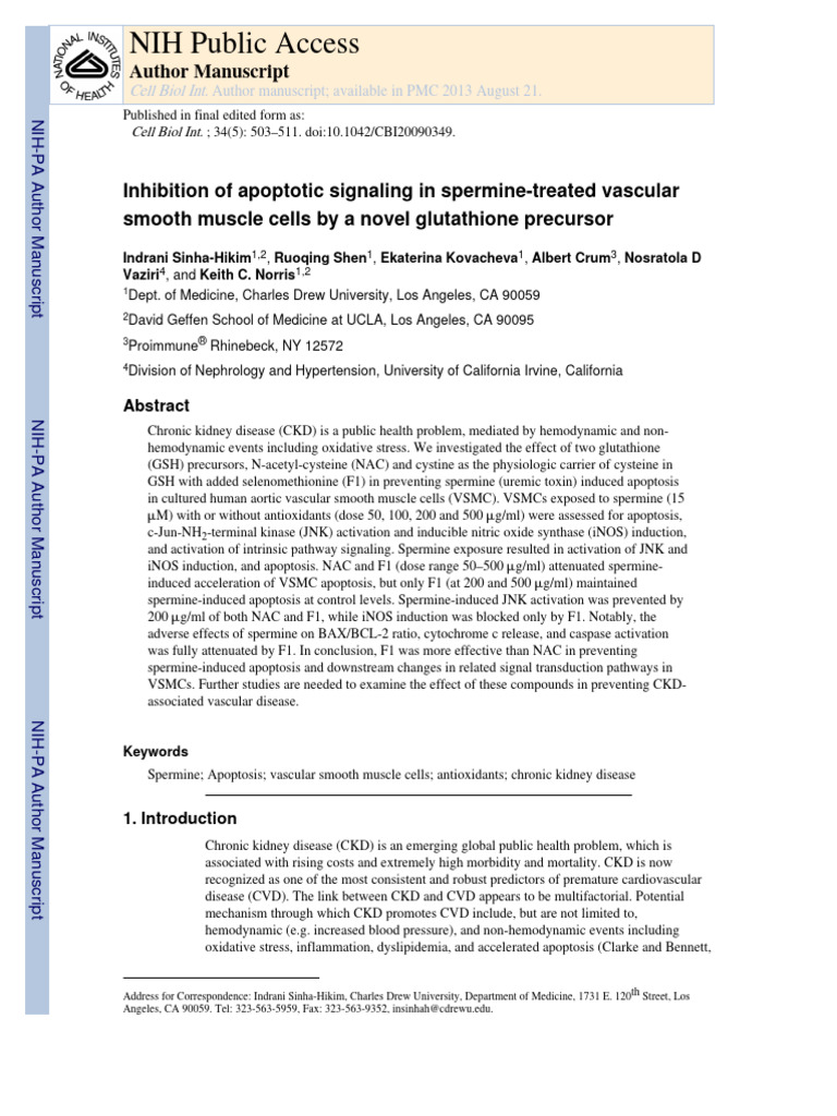 ProImmune F1 On Spermine-Treated Vascular Smooth Muscle Cells | PDF ...