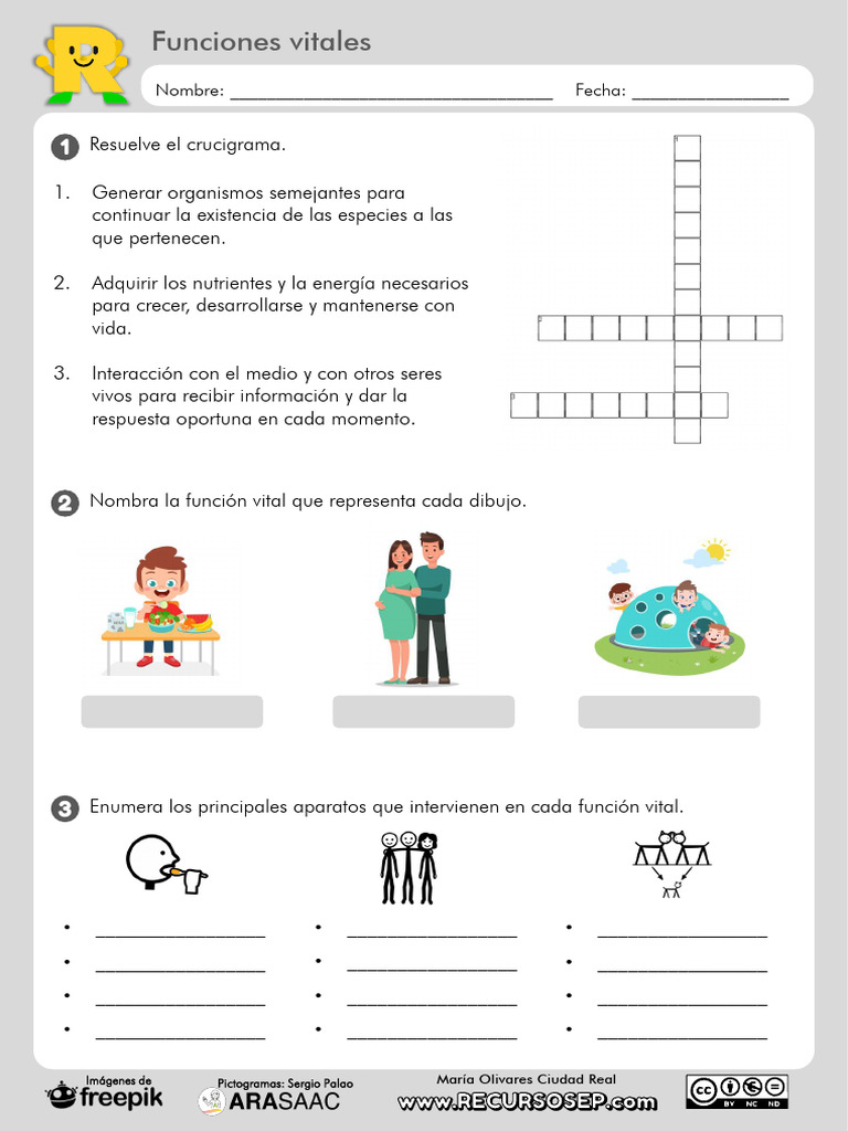 Funciones Vitales Pdf
