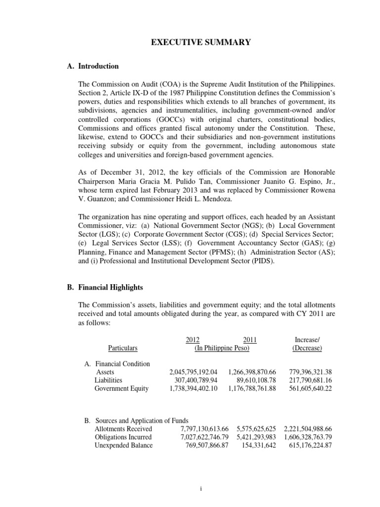 Commission On Audit Executive Summary 2012 | PDF | Financial Statement | Audit