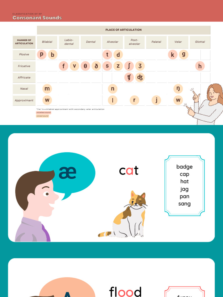 English Lesson 2 | Download Free PDF | Phonetics | Human Voice