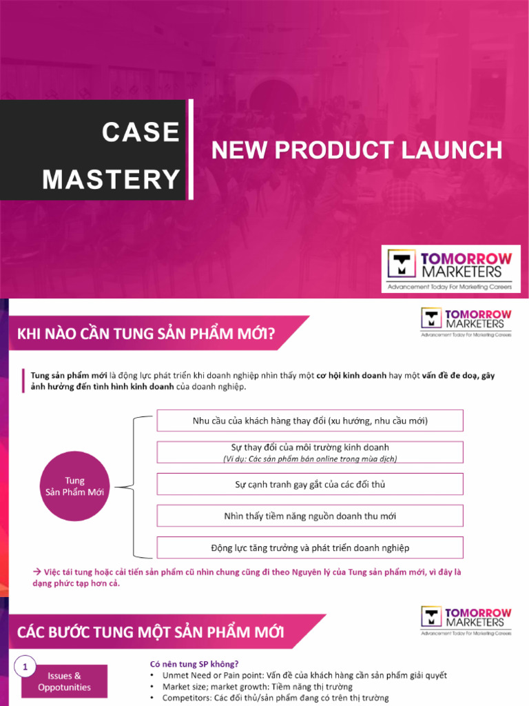 New Product Launching | PDF