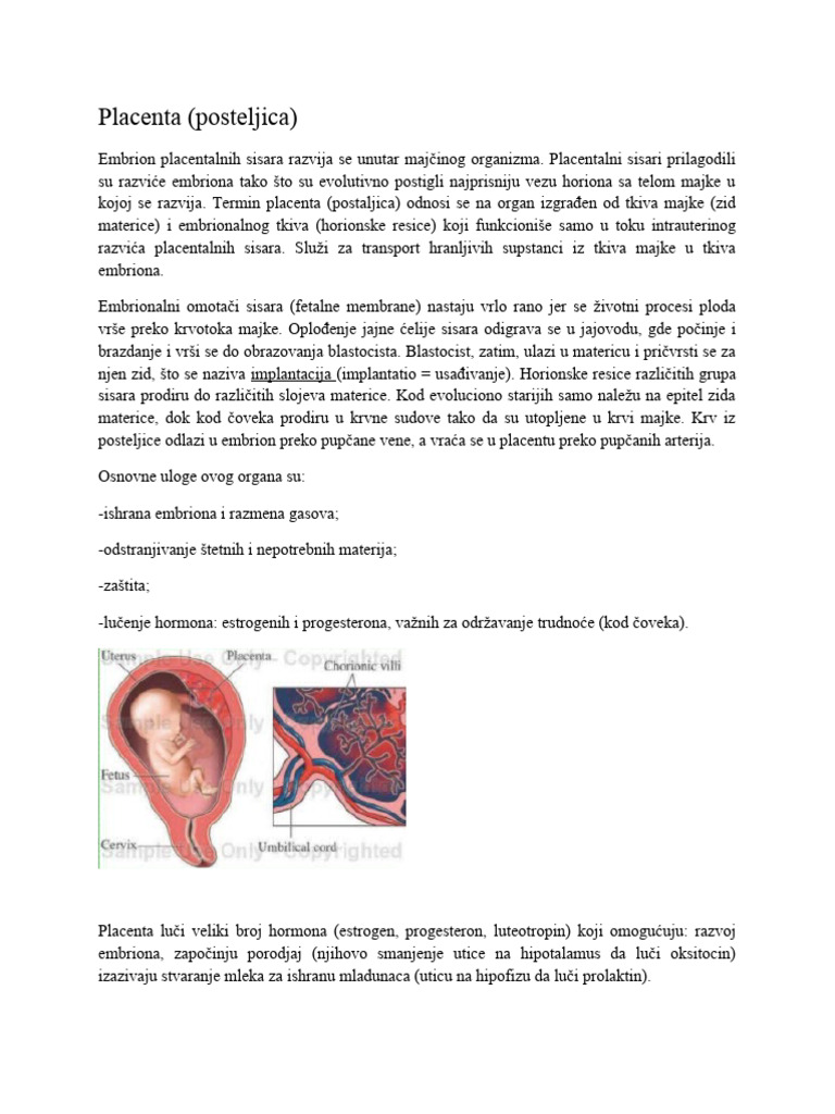 Placenta | PDF