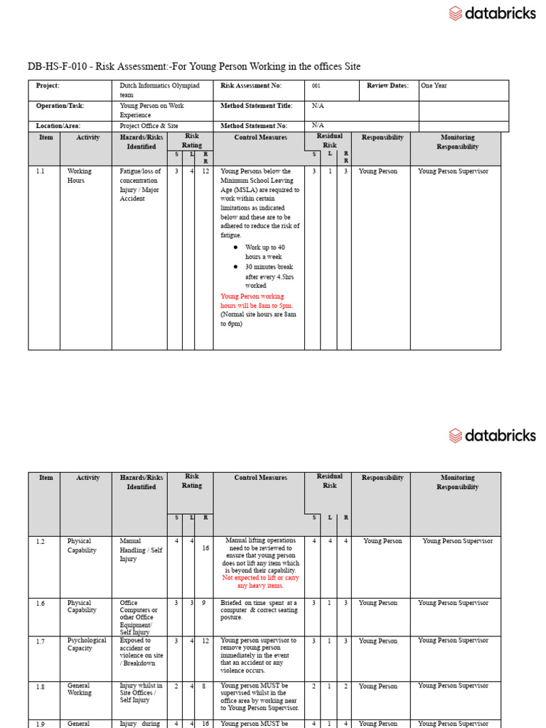 DB-HS-F-010 Young Persons Risk Assessment | Download Free PDF | Risk | Risk Assessment