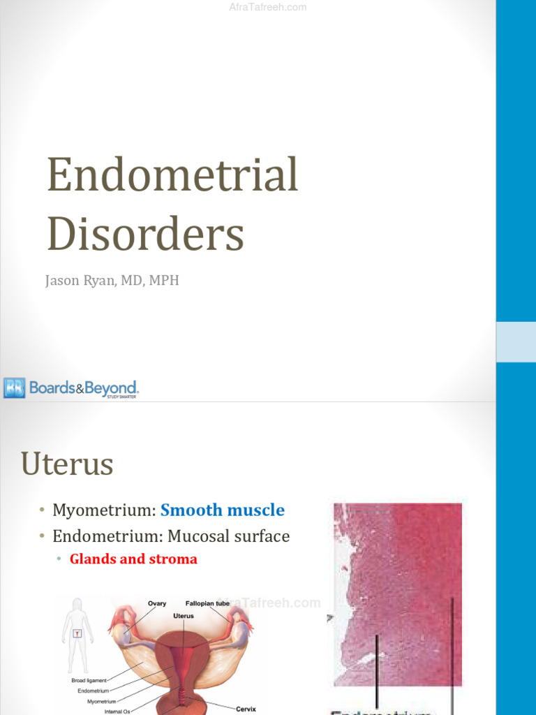 Endometrial Disorders Atf | PDF | Menstrual Cycle | Medical Specialties