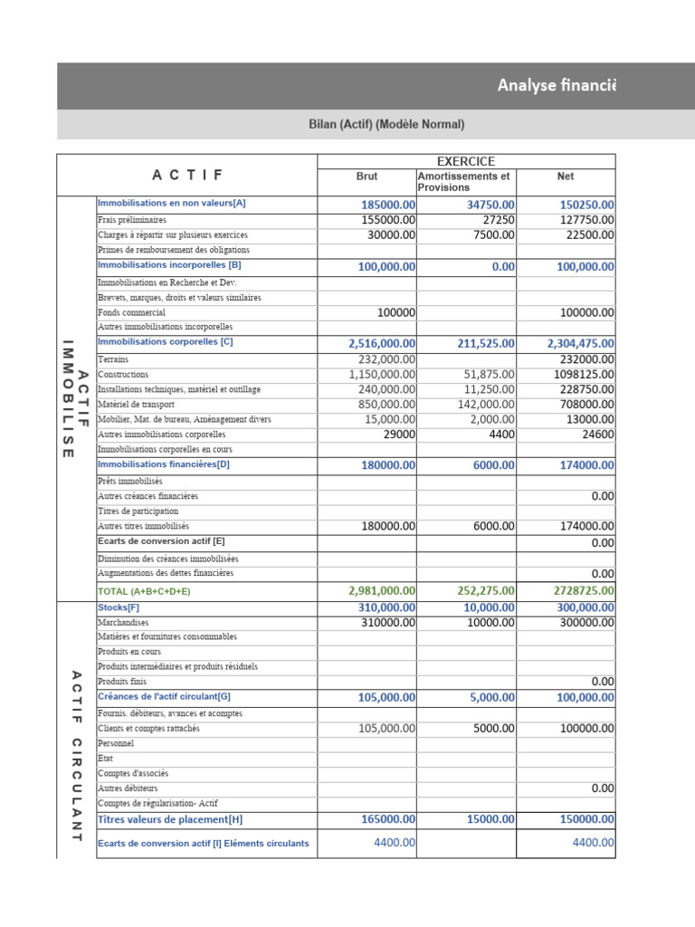 Analyse financière et bilan comptable | PDF | Capitaux propres | Immobilisations