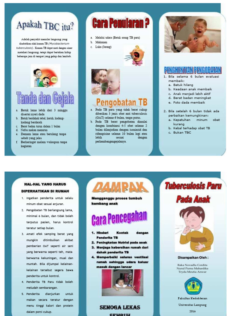 PDF Leaflet Tb Paru Compress | PDF