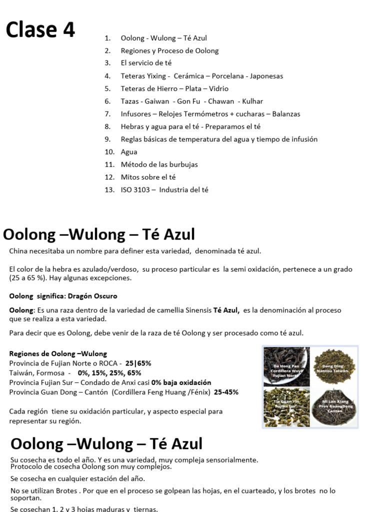 C04 - Manual Tea Sommelier | PDF | Té | Porcelana