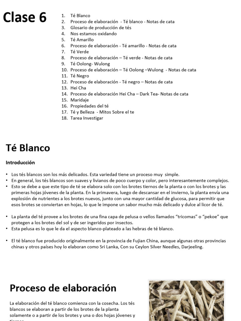 C06 - Manual Tea Sommelier | PDF | Té | Cafeína