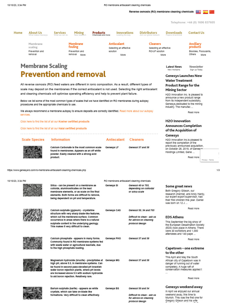 RO Membrane Antiscalant Solutions | PDF | Membrane | Chemistry