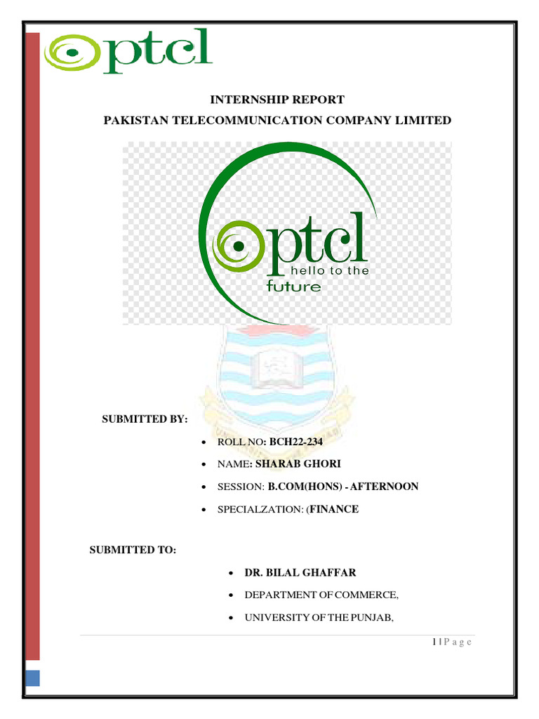 Sharab Ghori Intership Report BCH22-234 ....... | PDF | Business | Service Industries